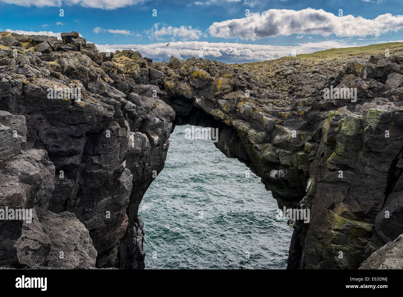 Cliffs at Arnarstapi, Snaefellsnes Peninsula, Iceland Stock Photo - Alamy