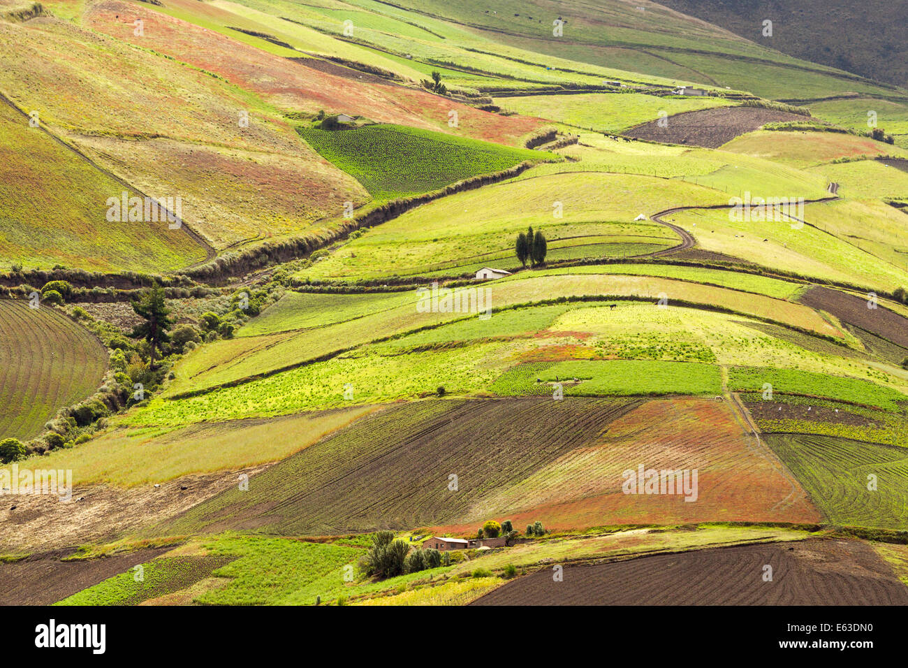 Farmer homes hi-res stock photography and images - Alamy