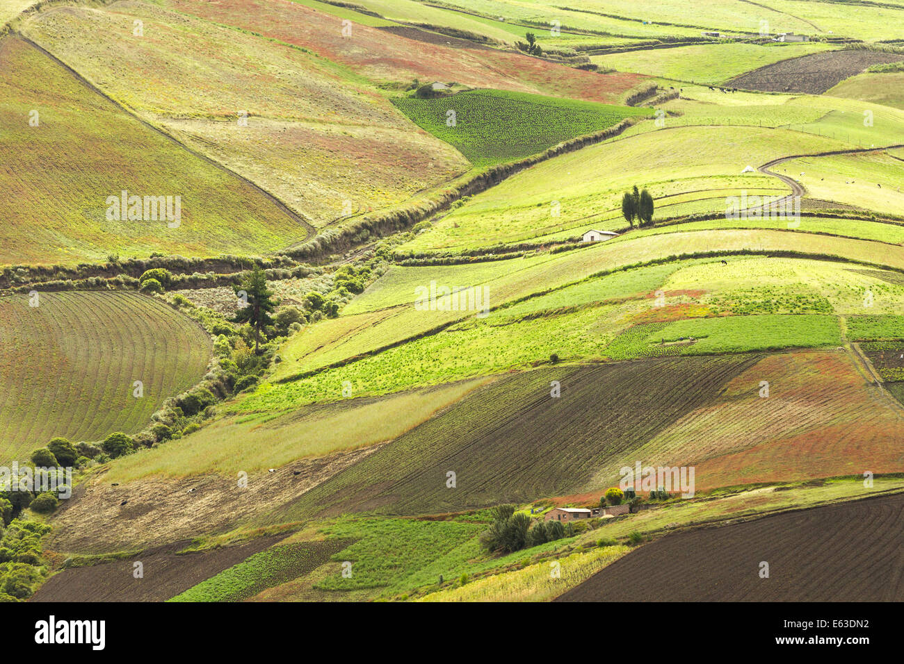 Ecuador rural countryside fields hi-res stock photography and images ...