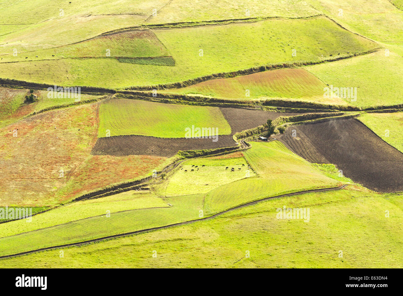 High Altitude Farming In Ecuadorian Andes About 4000M Altitude Stock ...