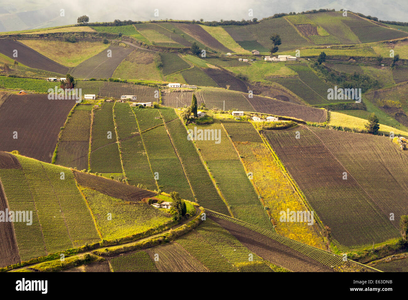 High Altitude Farming In Ecuadorian Andes About 4000M Altitude ...