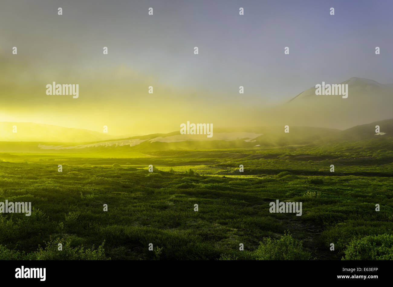 Midnight fog hi-res stock photography and images - Alamy