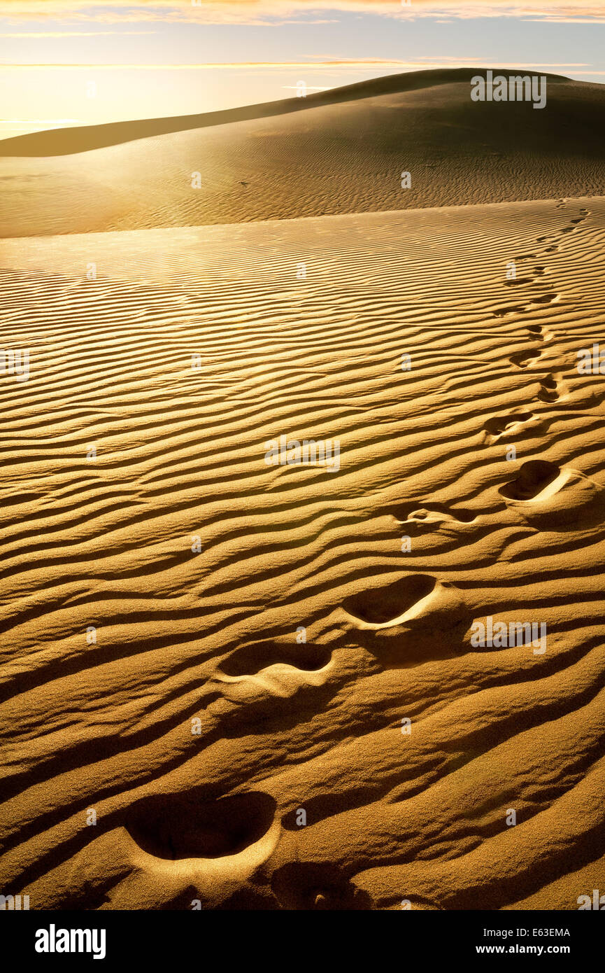 Dunes and wavy ocean hi-res stock photography and images - Alamy