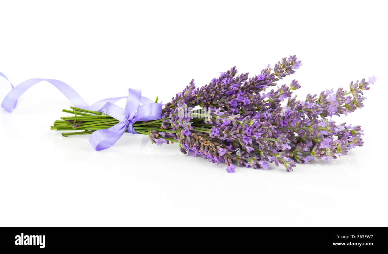 Satin ribbon hi-res stock photography and images - Alamy