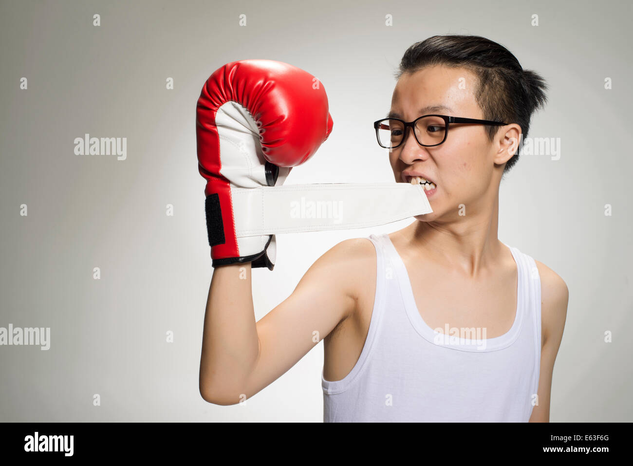 Portrait of Boxing Player Posing Stock Photo - Alamy