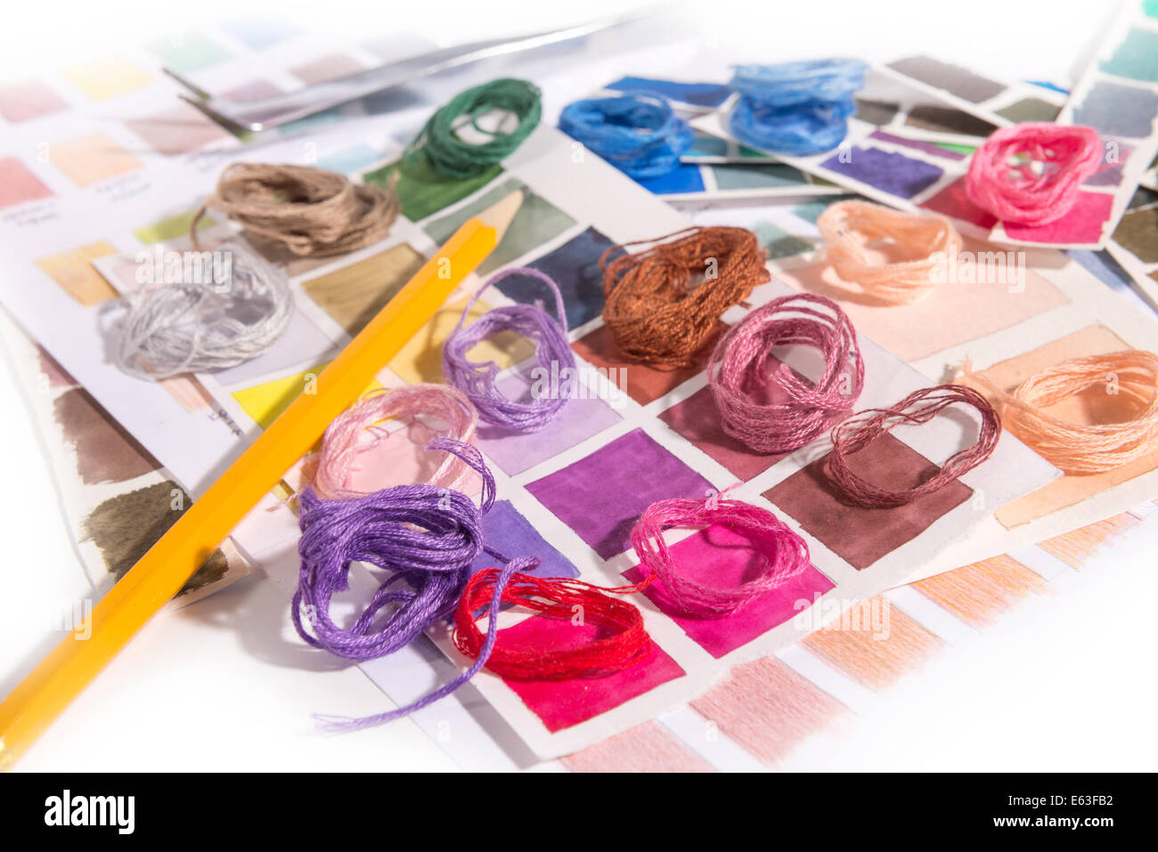 Needlework. Embroidery. Match colors of thread on the sketches of the ...