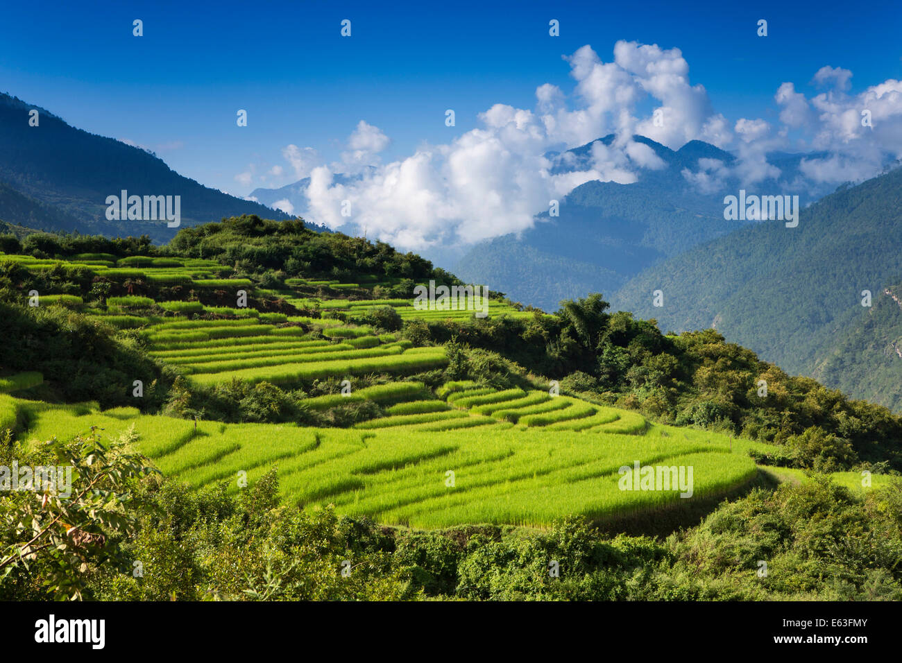 Lhuntse district hi-res stock photography and images - Alamy
