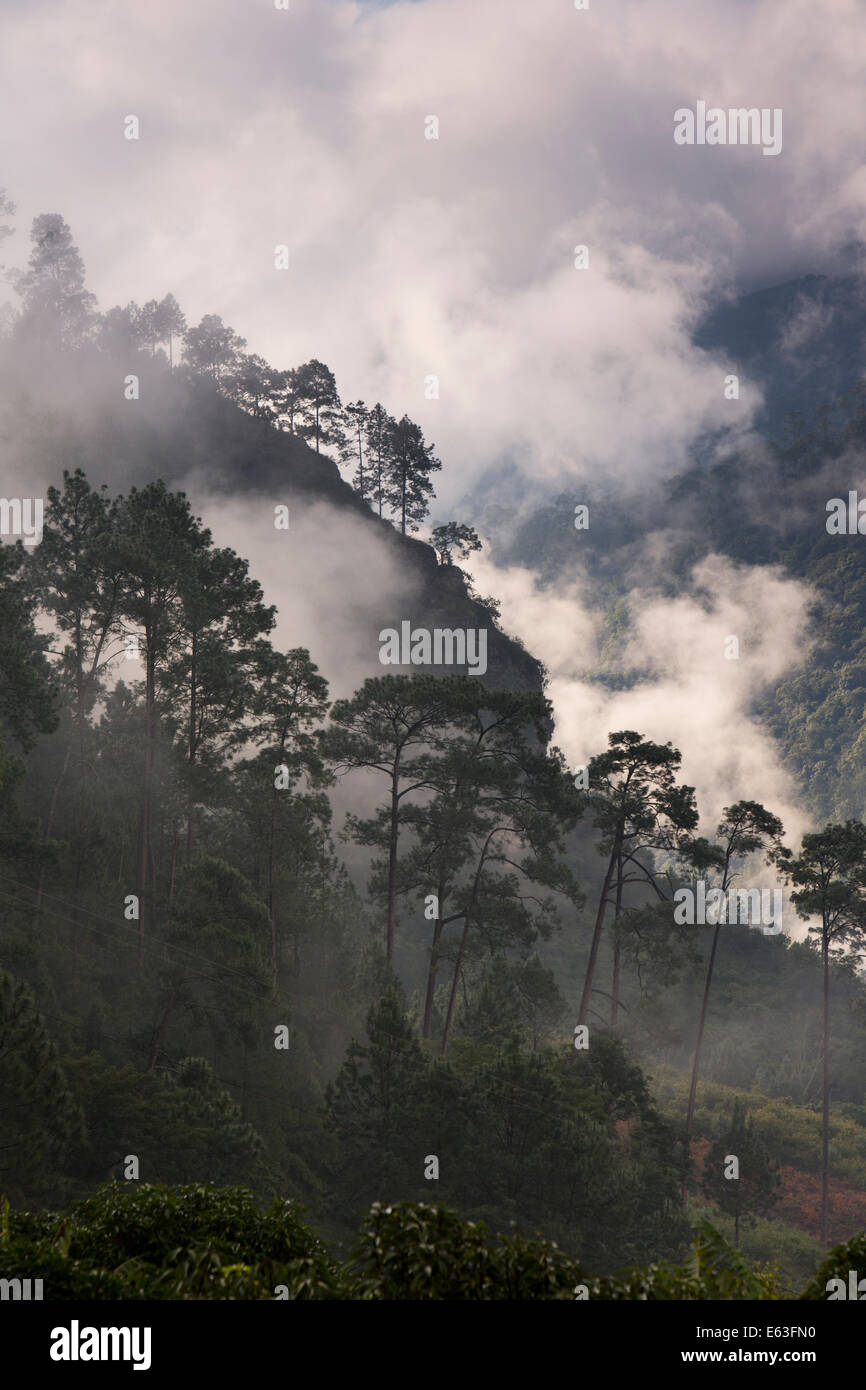 Eastern Bhutan, Lhuentse Valley Autsho, early morning low cloud in Kuri ...