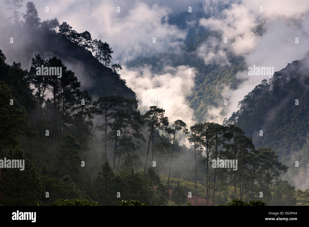 Eastern Bhutan, Lhuentse Valley Autsho, early morning low cloud in Kuri ...