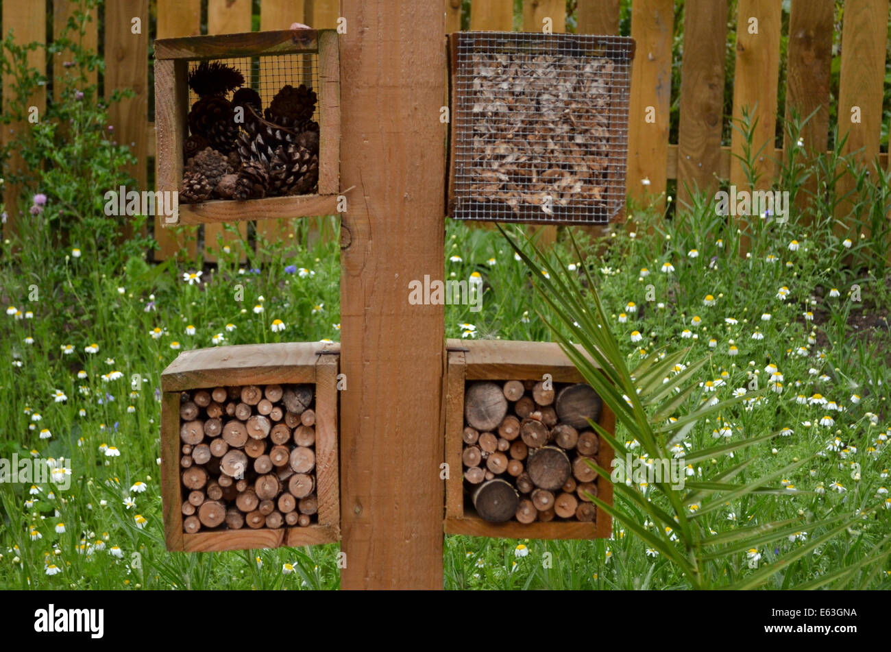 Insect structures hi-res stock photography and images - Alamy