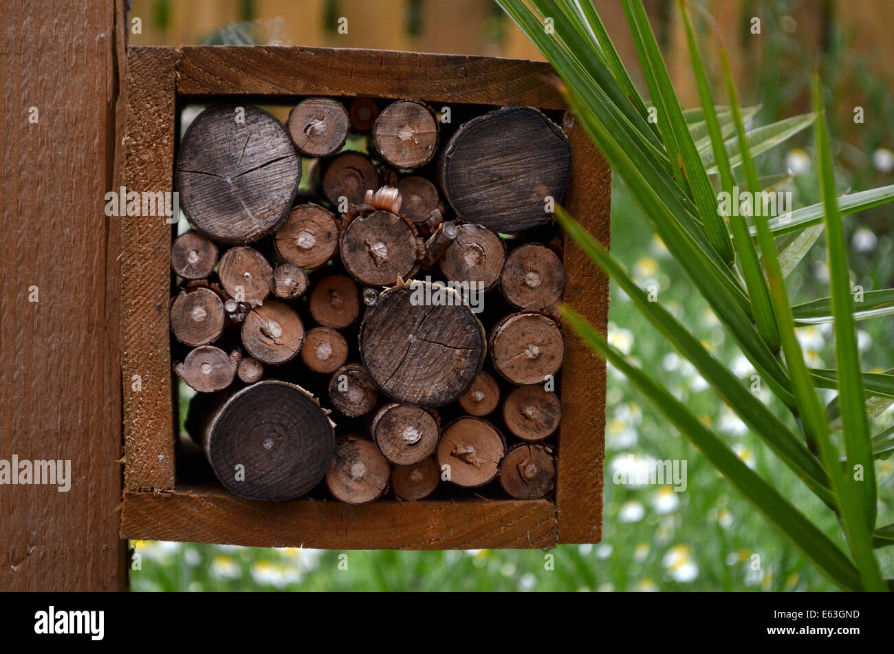 Man-made Insect homes Stock Photo - Alamy