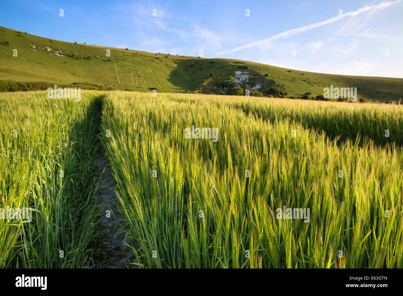 Landscape image of Long Man of Wilmington ancient chalk carving Stock ...