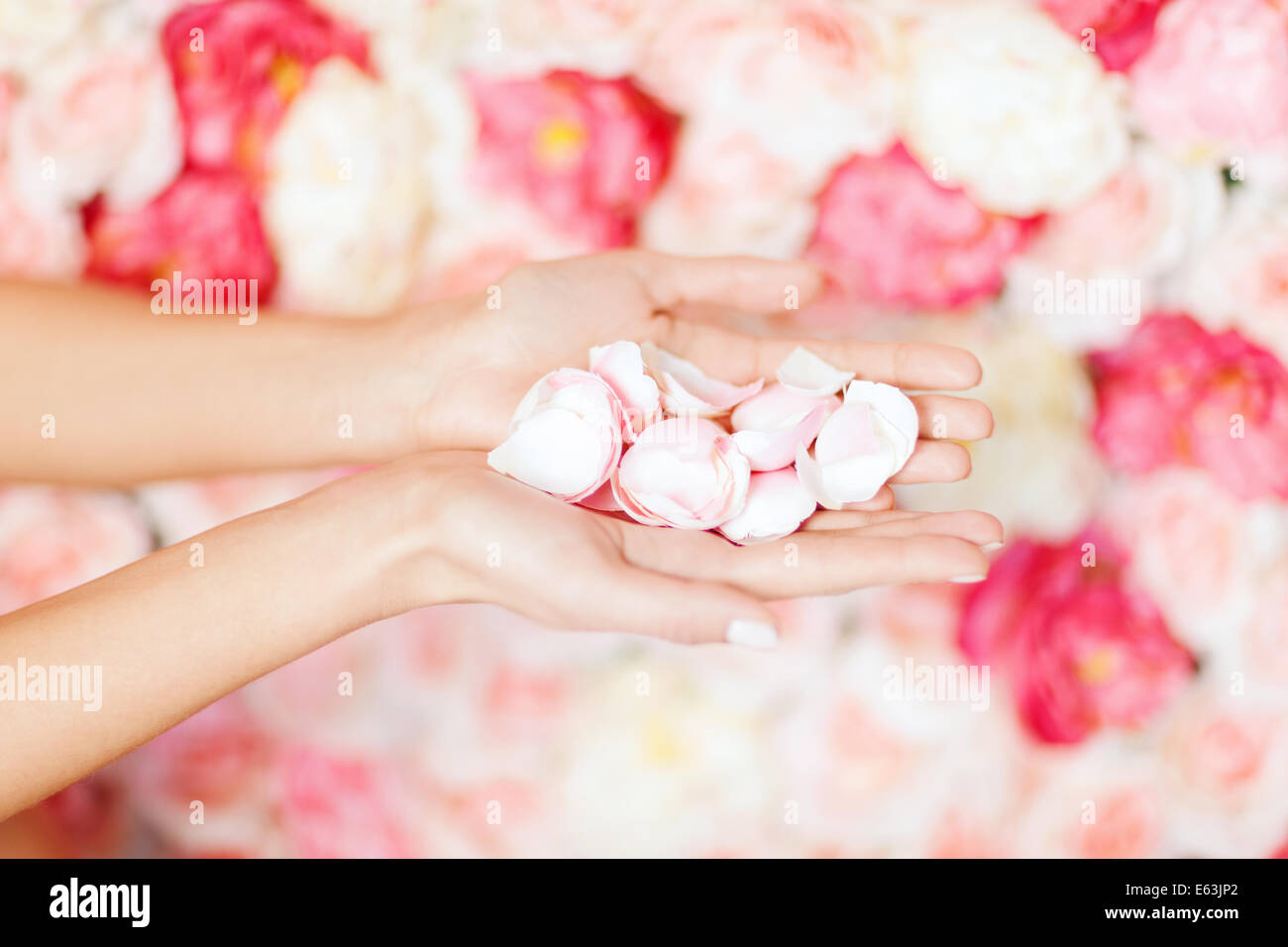 Cupped hands holding flowers hi-res stock photography and images - Alamy