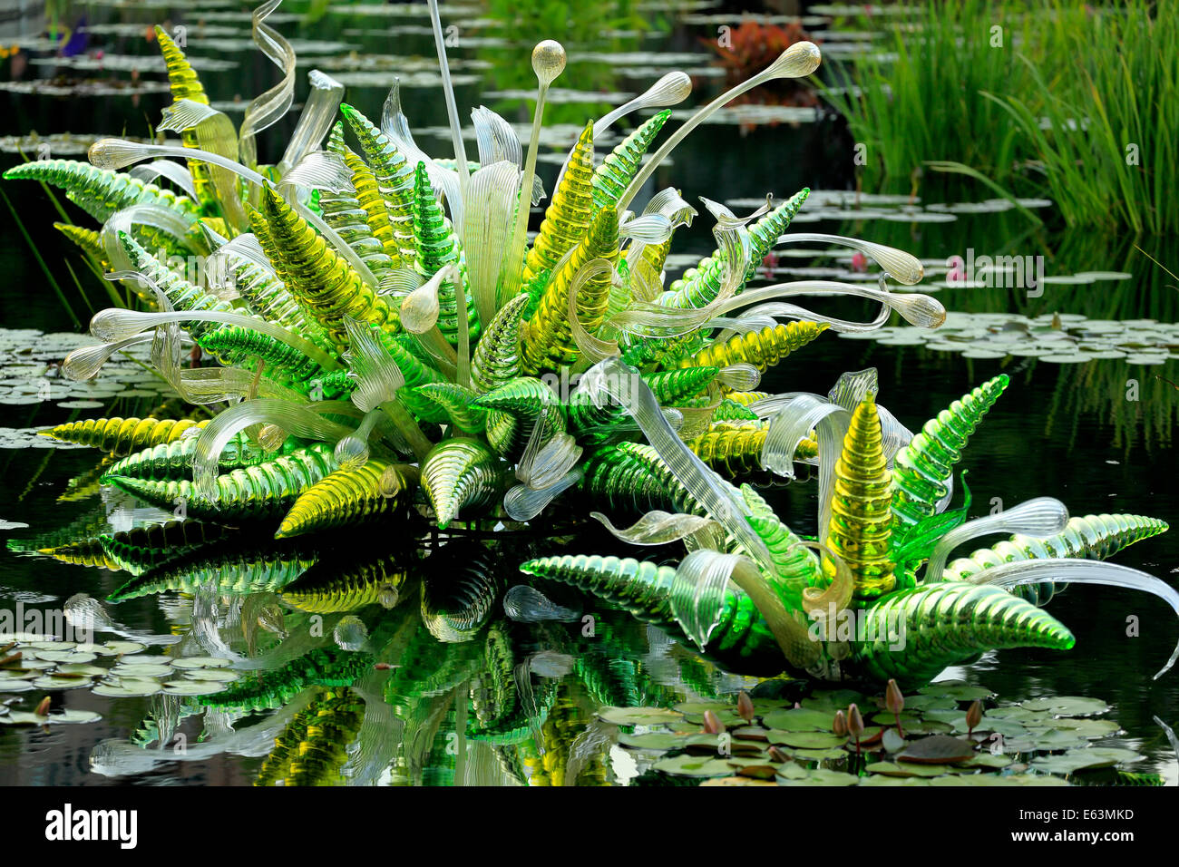 Monet pool fiori hi-res stock photography and images - Alamy