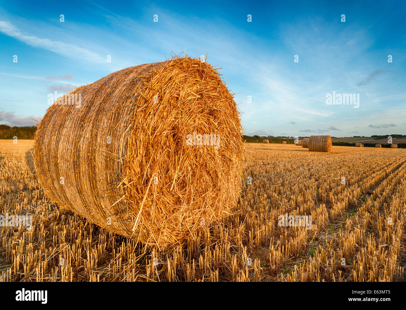 Agriculture or farming cornwall hi-res stock photography and images - Alamy