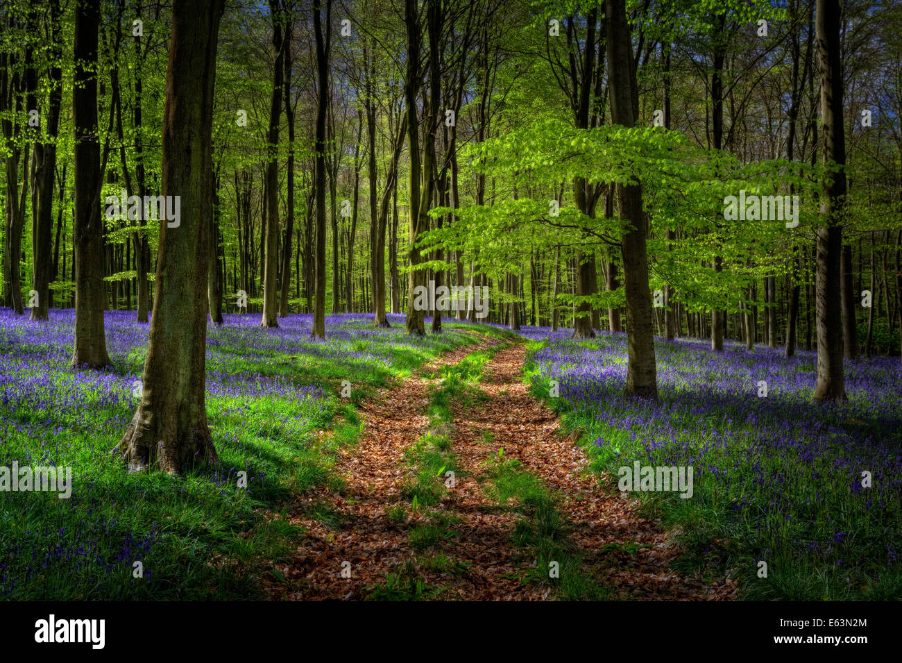 Embley hi-res stock photography and images - Alamy