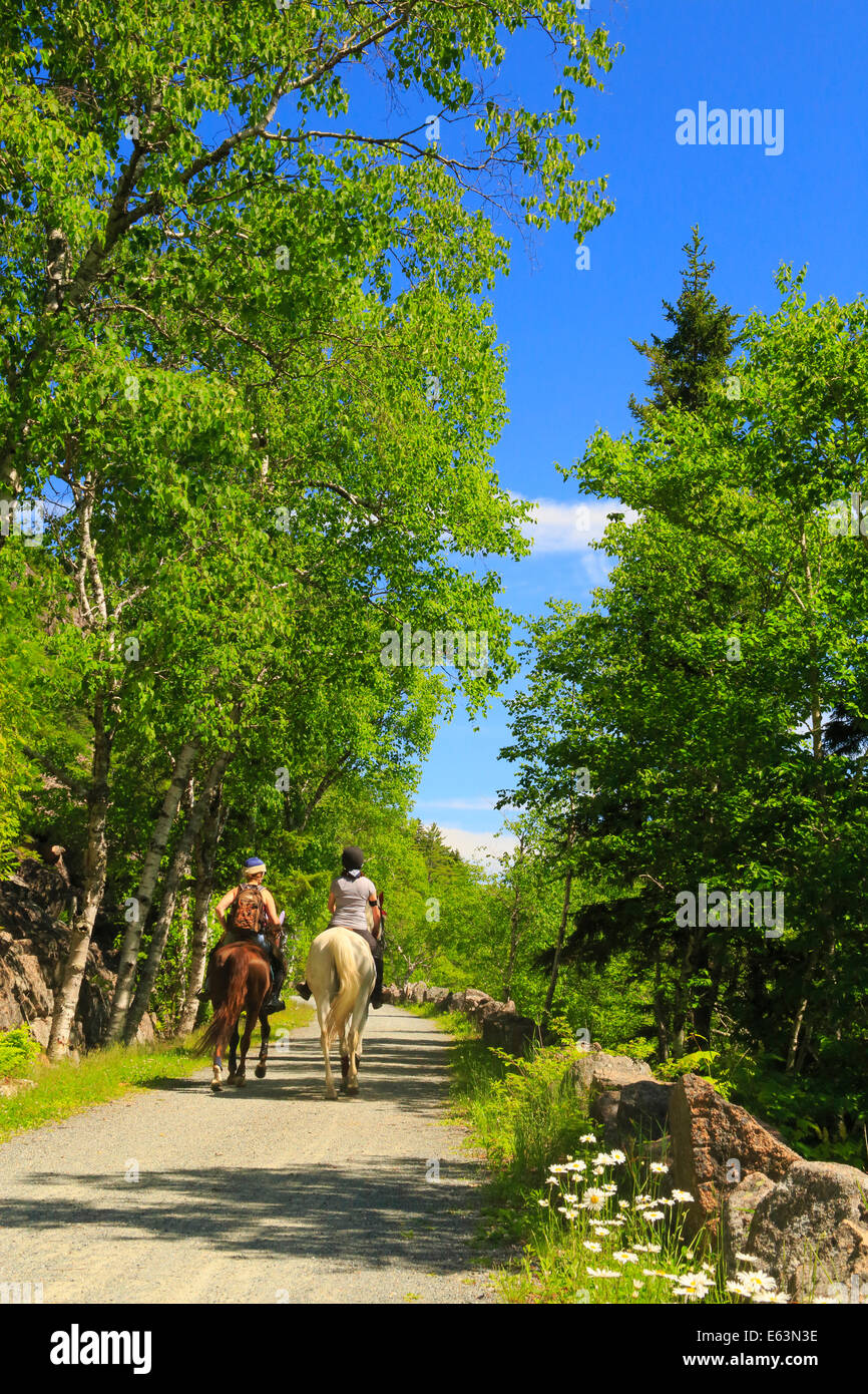 Bicycle rider horse carriage hi-res stock photography and images - Alamy