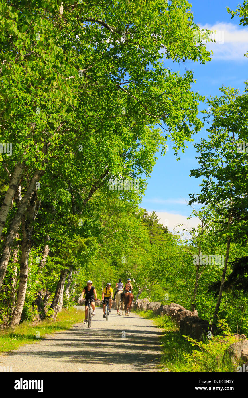 Jordan - Bubble Ponds Carriage Loop Carriage Road Near Deer Brook ...