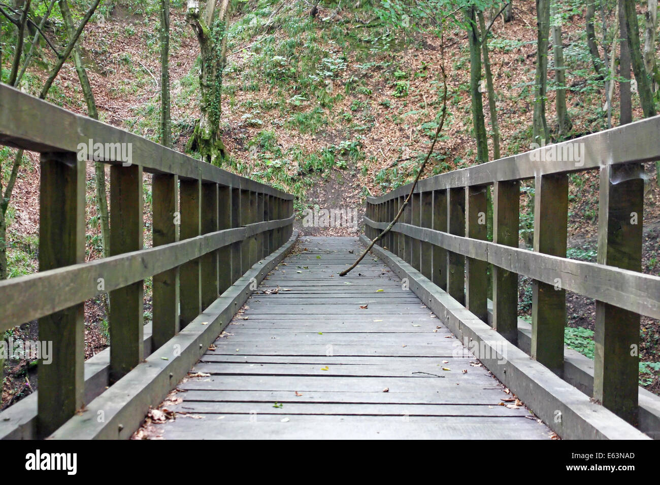 Wood plank bridge hi-res stock photography and images - Alamy