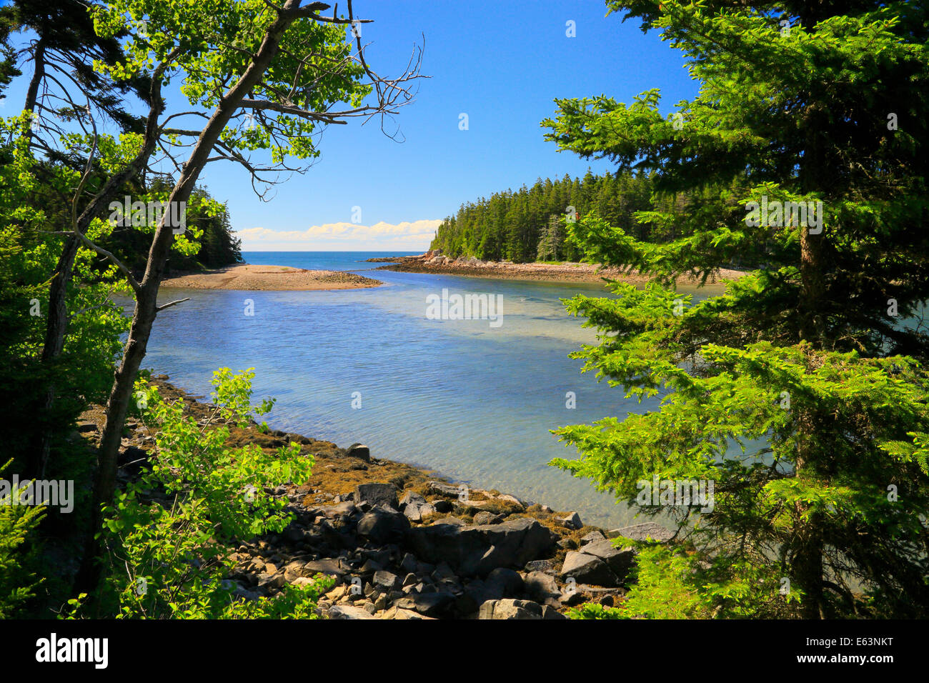 Ship Harbor Trail, Acadia National Park, Maine, USA Stock Photo - Alamy