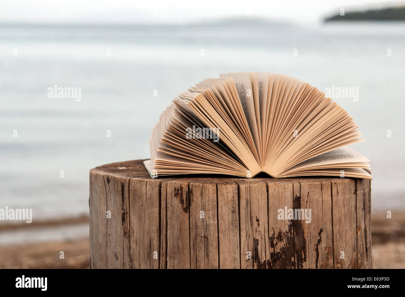 Open book at the beach near the sea Stock Photo - Alamy