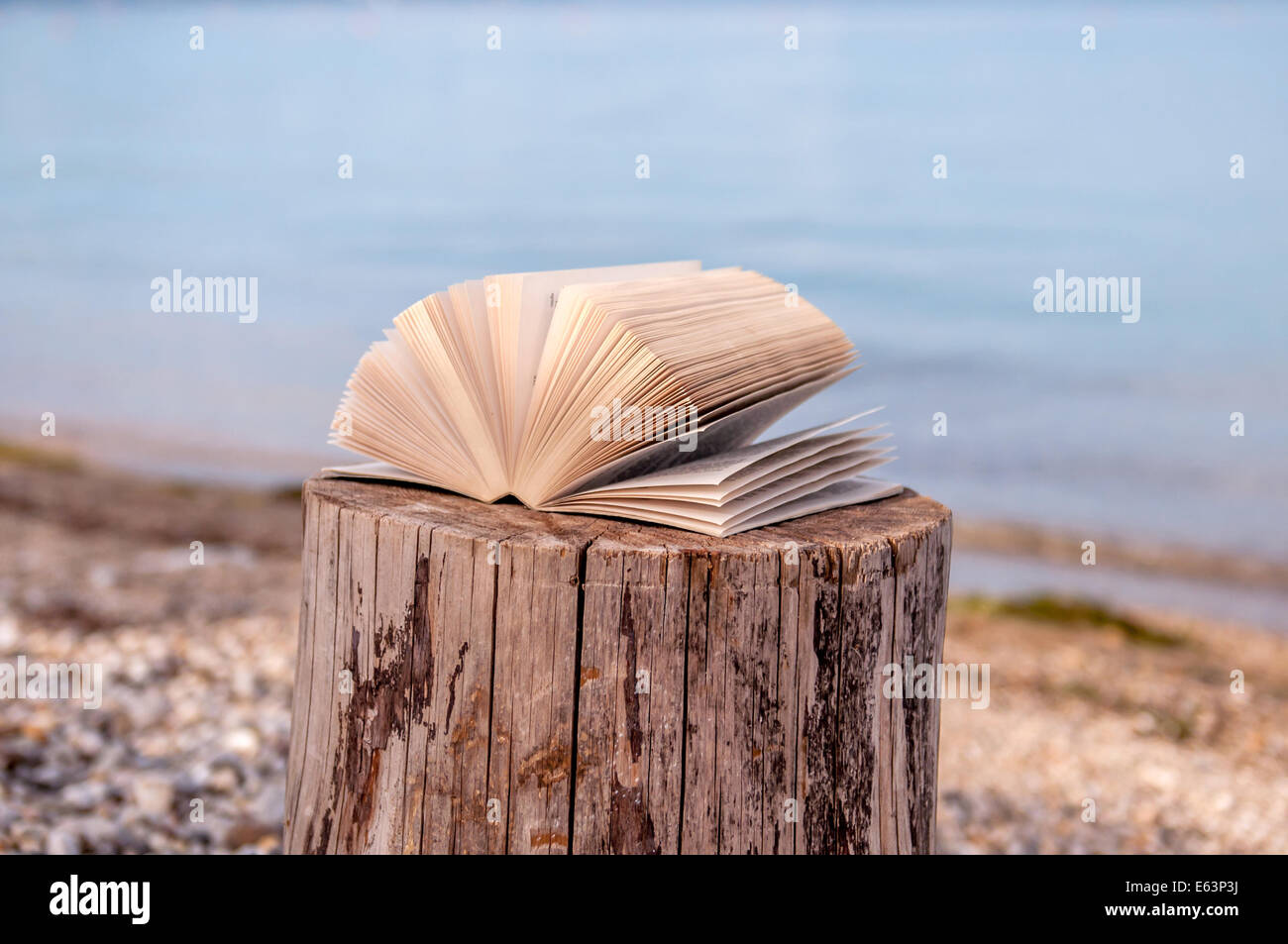 Open book at the beach near the sea Stock Photo - Alamy