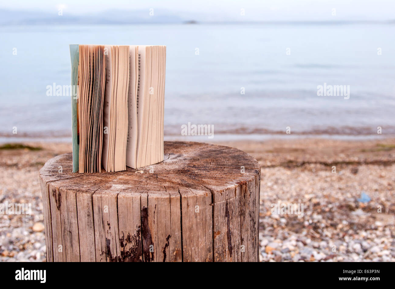 Open book at the beach near the sea Stock Photo - Alamy