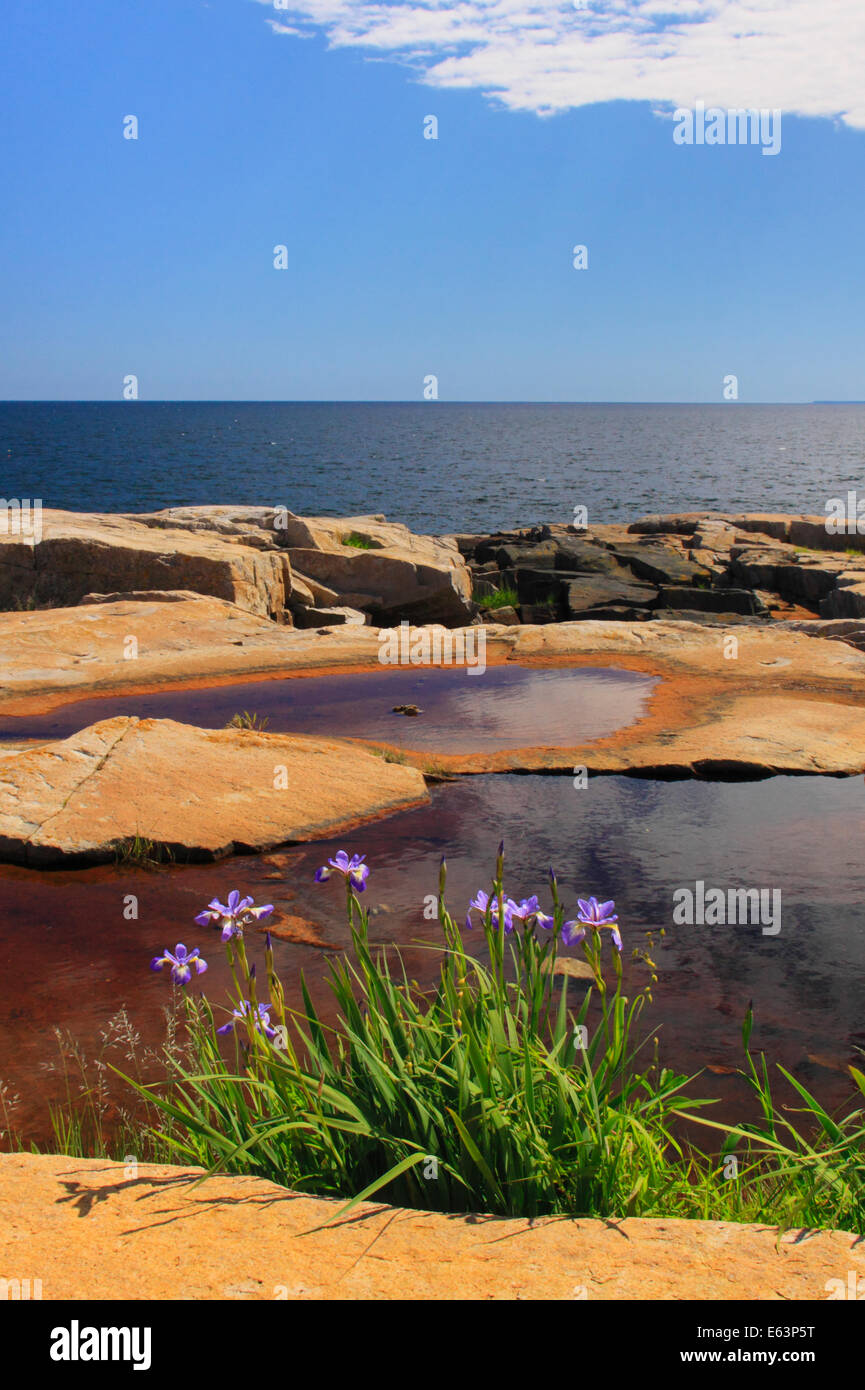Schoodic Point, Schoodic Peninsula, Acadia National Park, Maine, USA ...