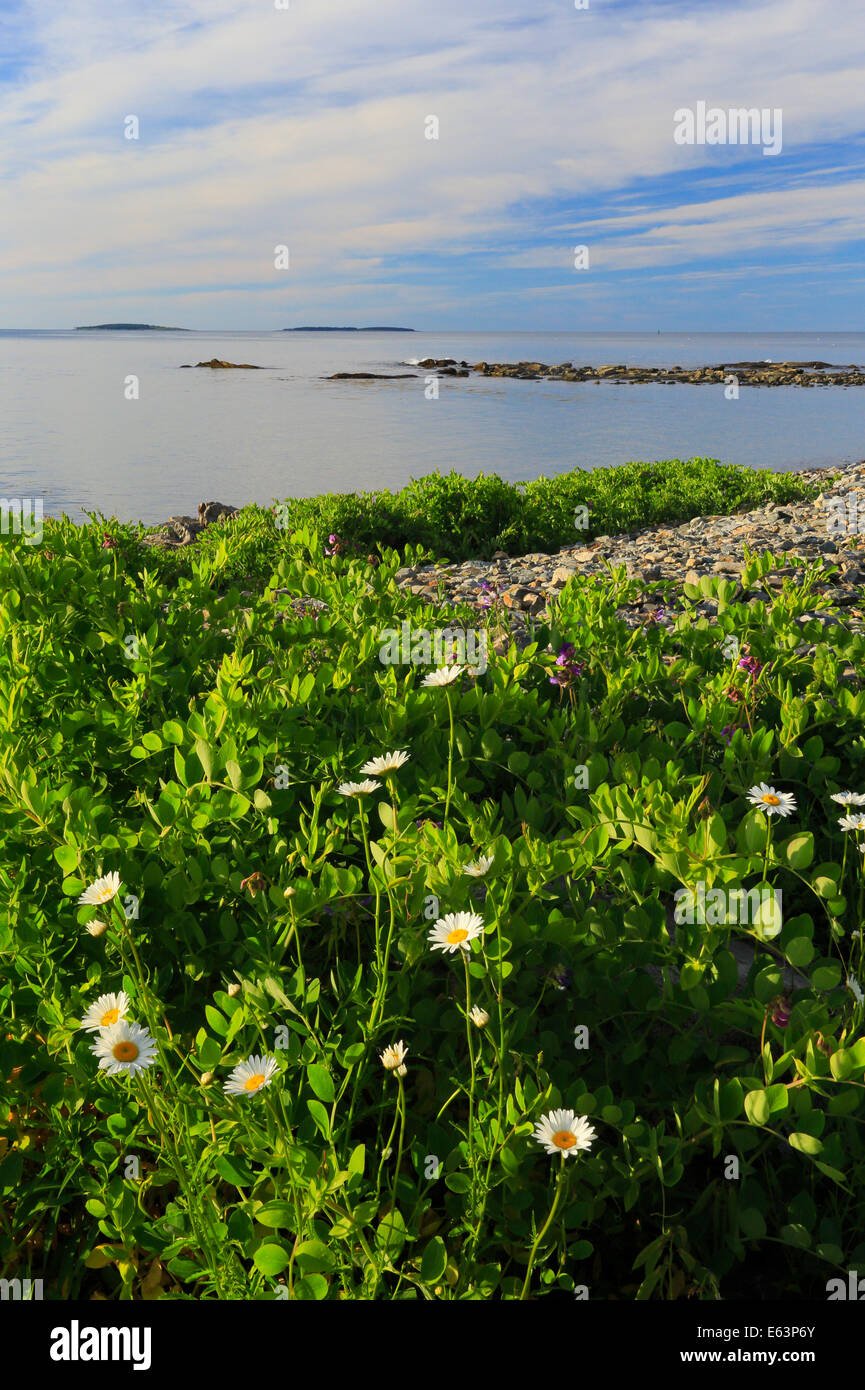 Seawall acadia national park hi-res stock photography and images - Alamy