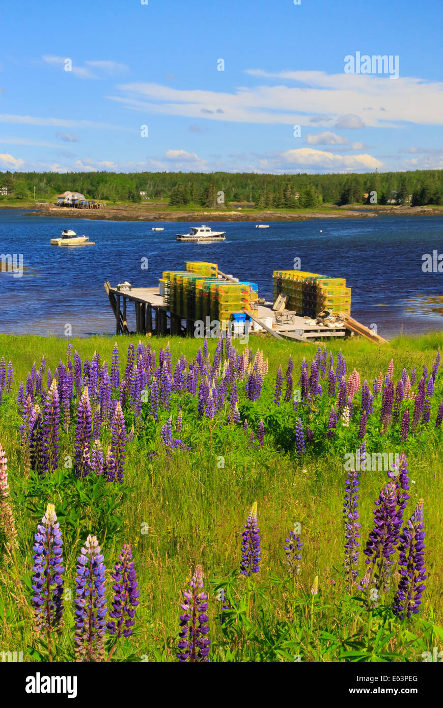 Mt desert island mount hi-res stock photography and images - Alamy