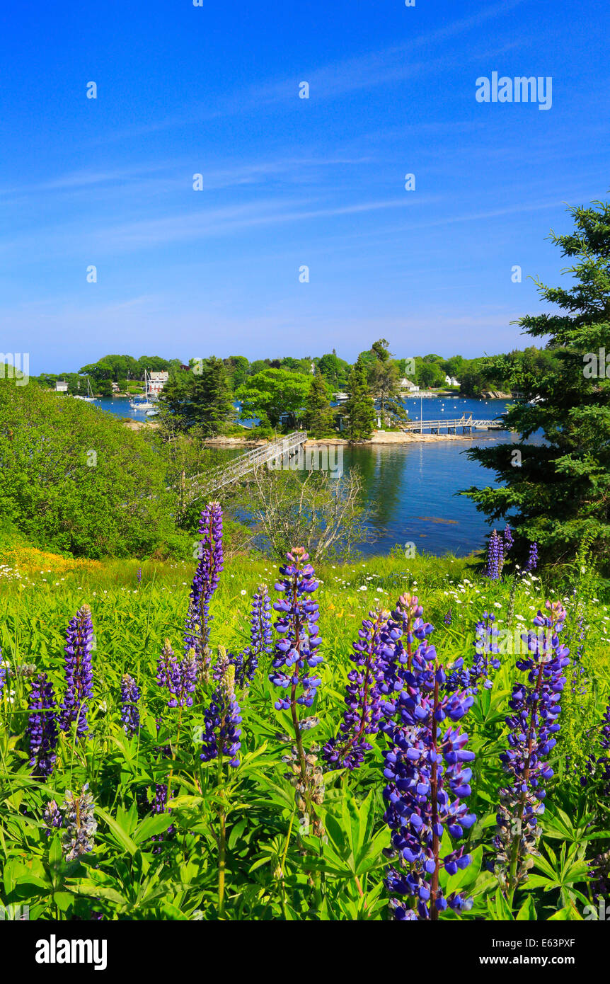 Christmas Cove, Maine, USA Stock Photo - Alamy