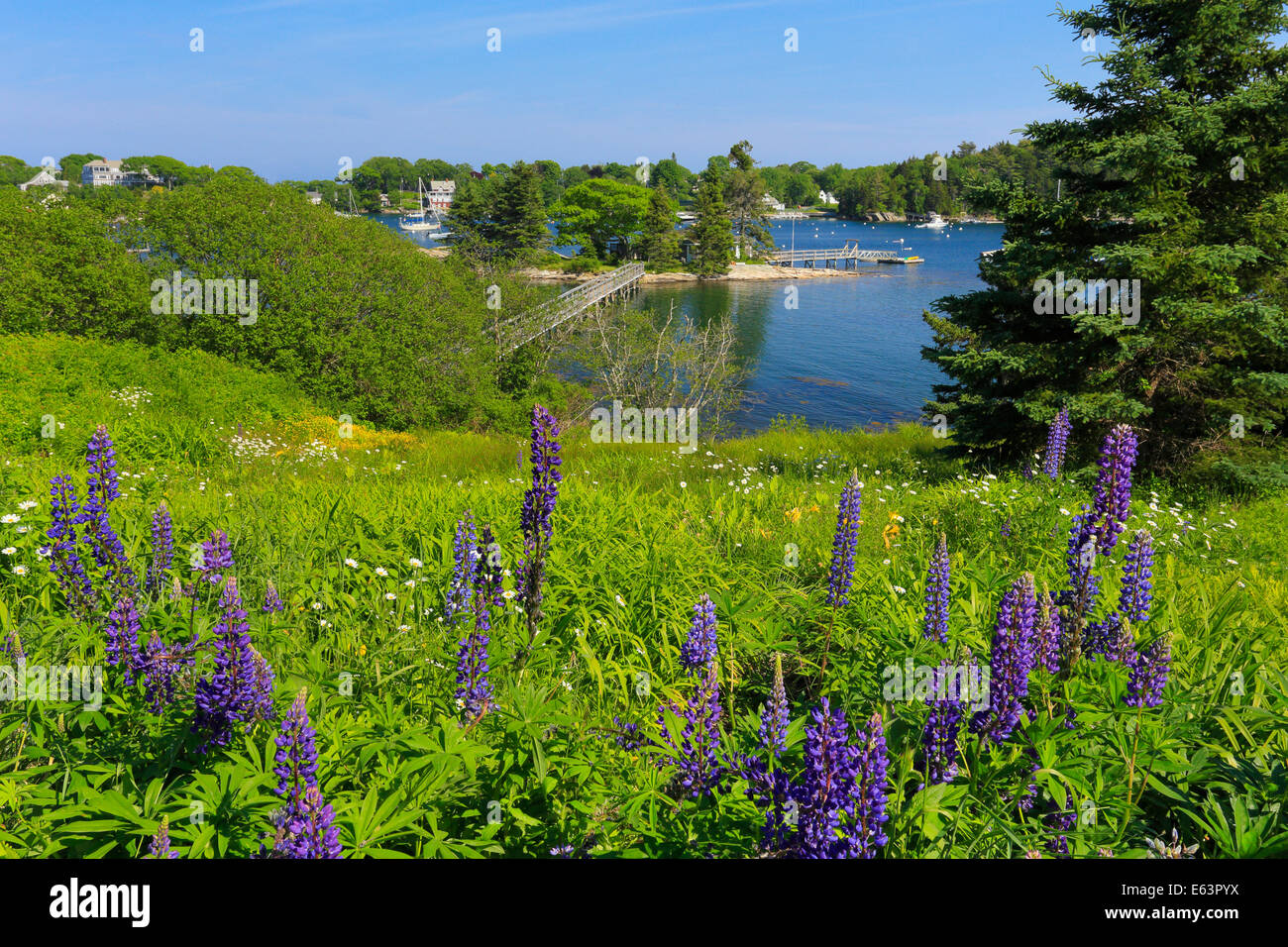 Christmas Cove, Maine, USA Stock Photo - Alamy