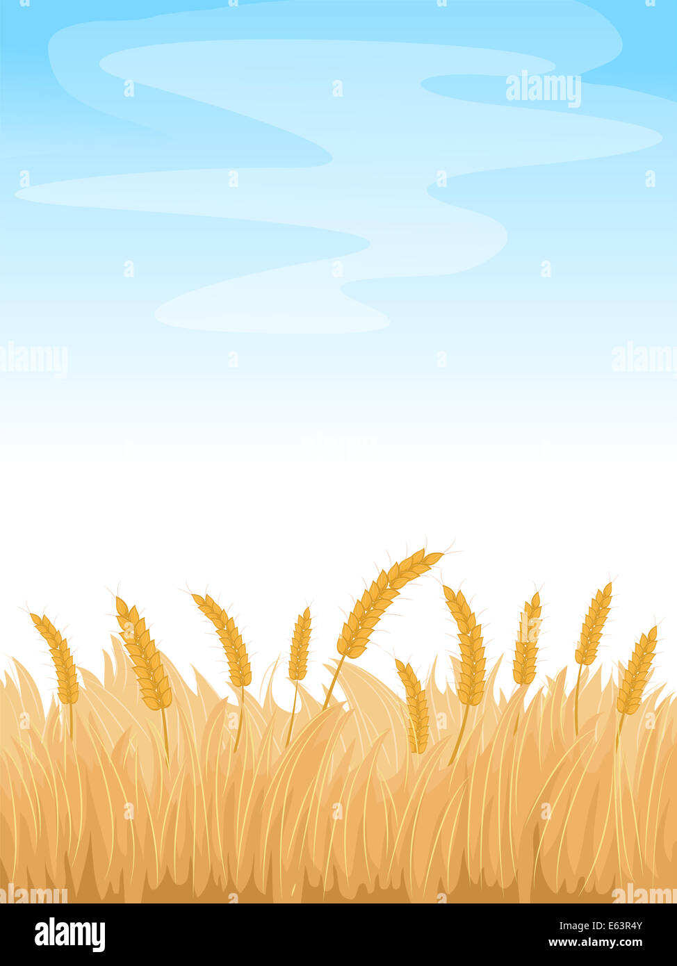 Background Illustration Featuring a Wheatfield Under a Clear Blue Sky ...
