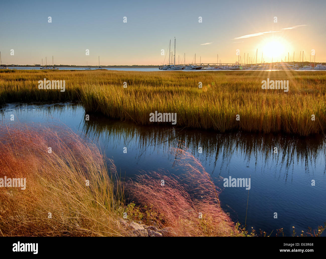 Setting sun over the Ashley River in Charleston South Carolina Stock ...