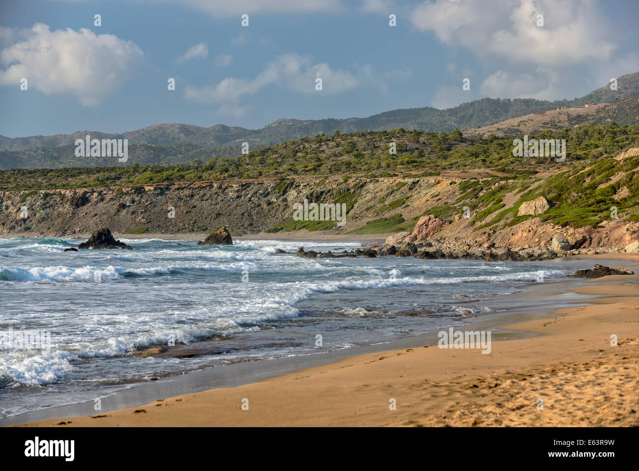 Beach on coast of Cyprus National park Akamas peninsula Stock Photo - Alamy