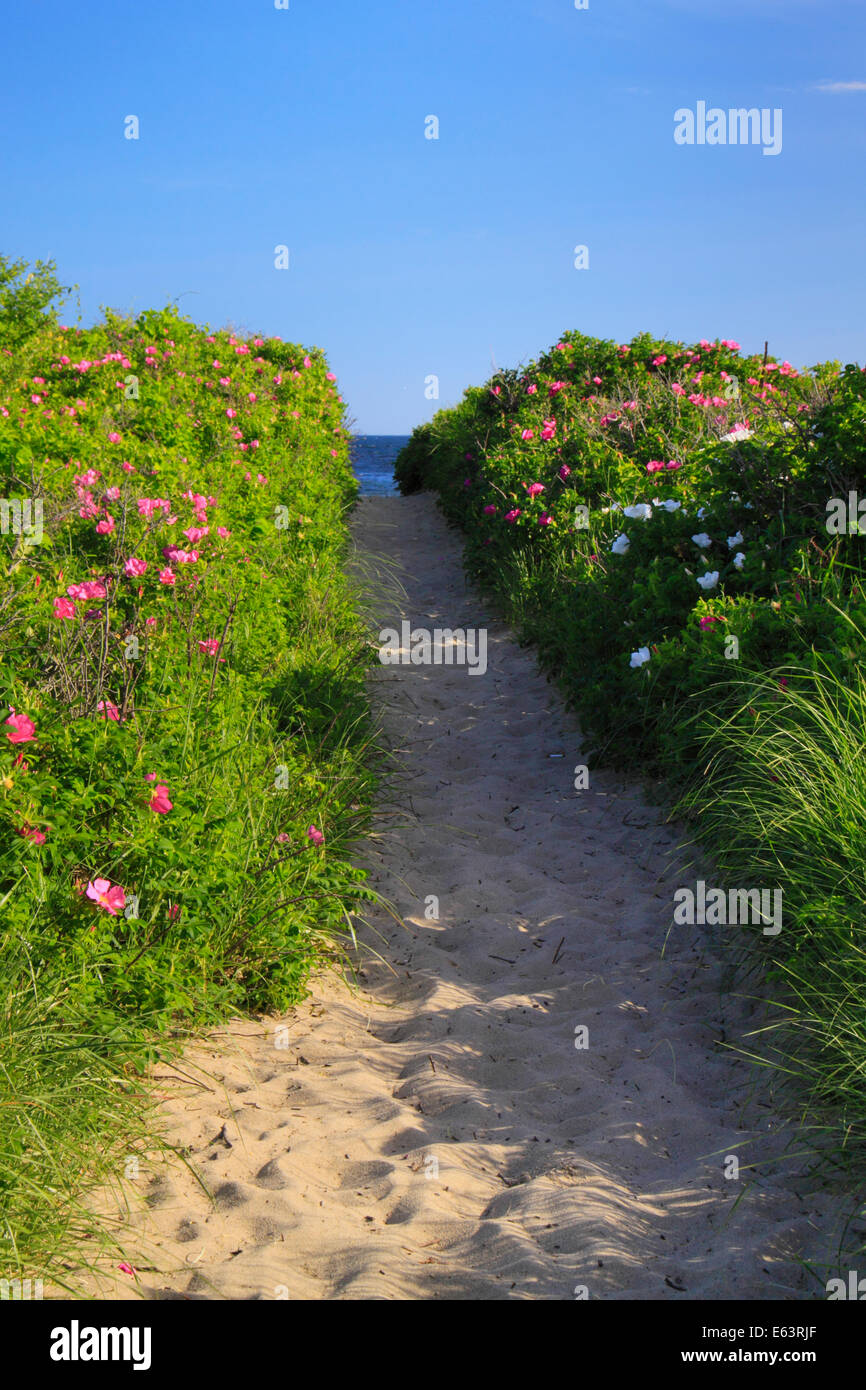 Tidal wave path hi-res stock photography and images - Alamy