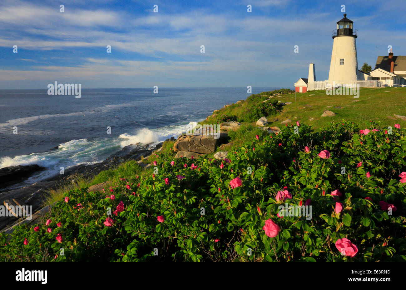 Wild Roses, Pemaquid Point, Lighthouse, Pemaquid Lighthouse Park, New ...