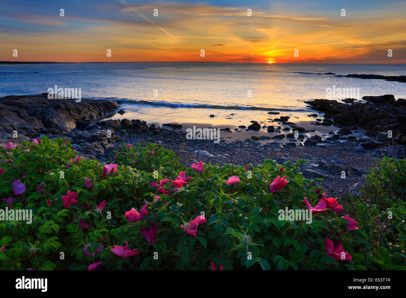 Sunrise, Marginal Way, Ogunquit, Maine, USA Stock Photo - Alamy