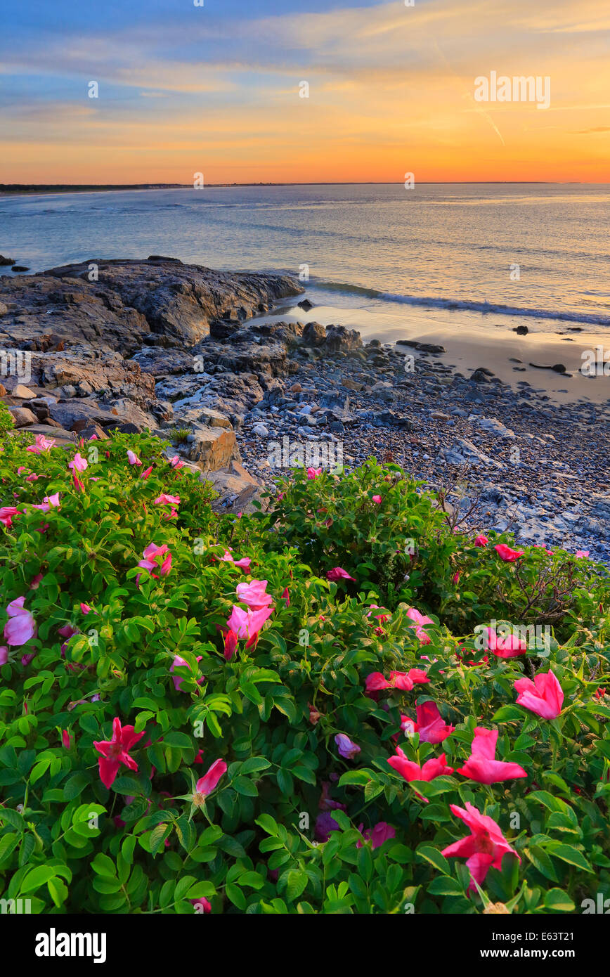 Sunrise, Marginal Way, Ogunquit, Maine, USA Stock Photo - Alamy