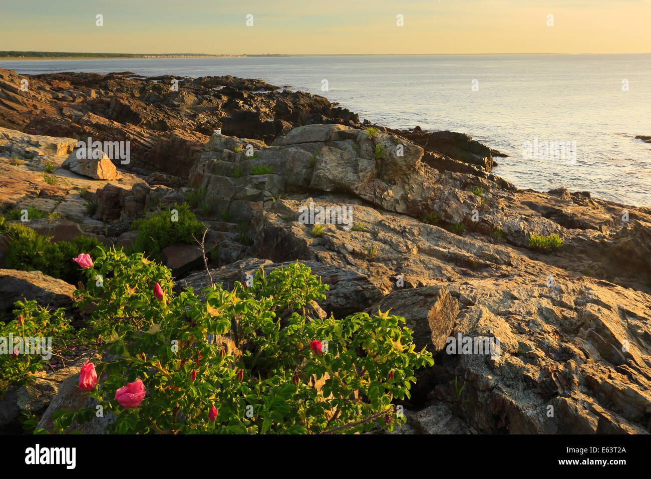 Ogunquit maine hi-res stock photography and images - Alamy