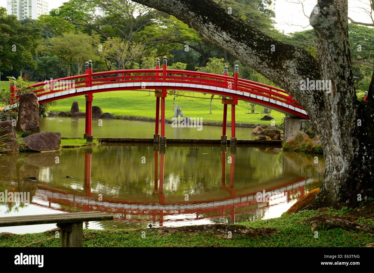 Japanese Gardens red bridge and reflection in pond with tree in ...