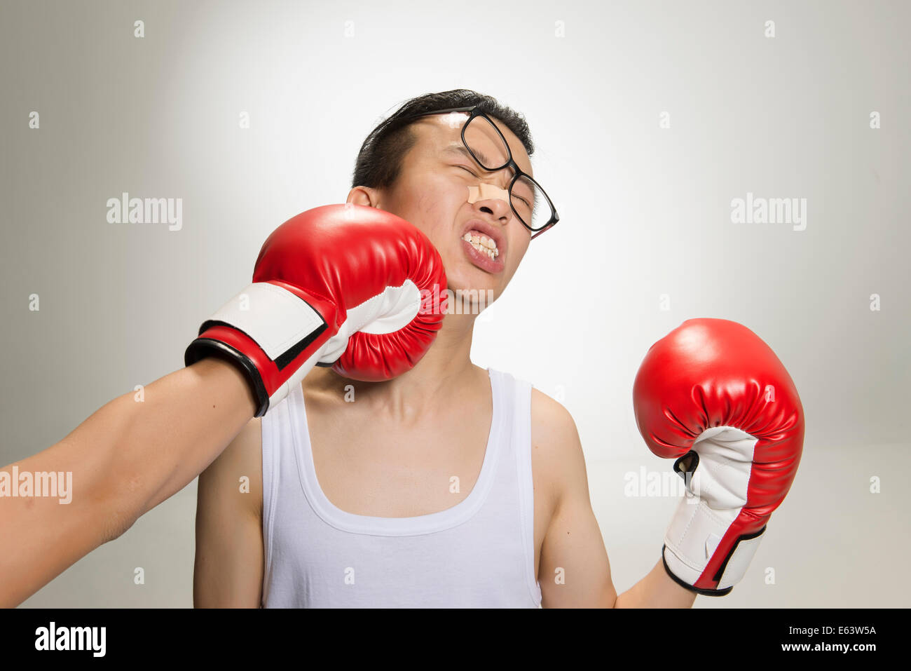 Portrait of Boxing Player Posing Stock Photo - Alamy