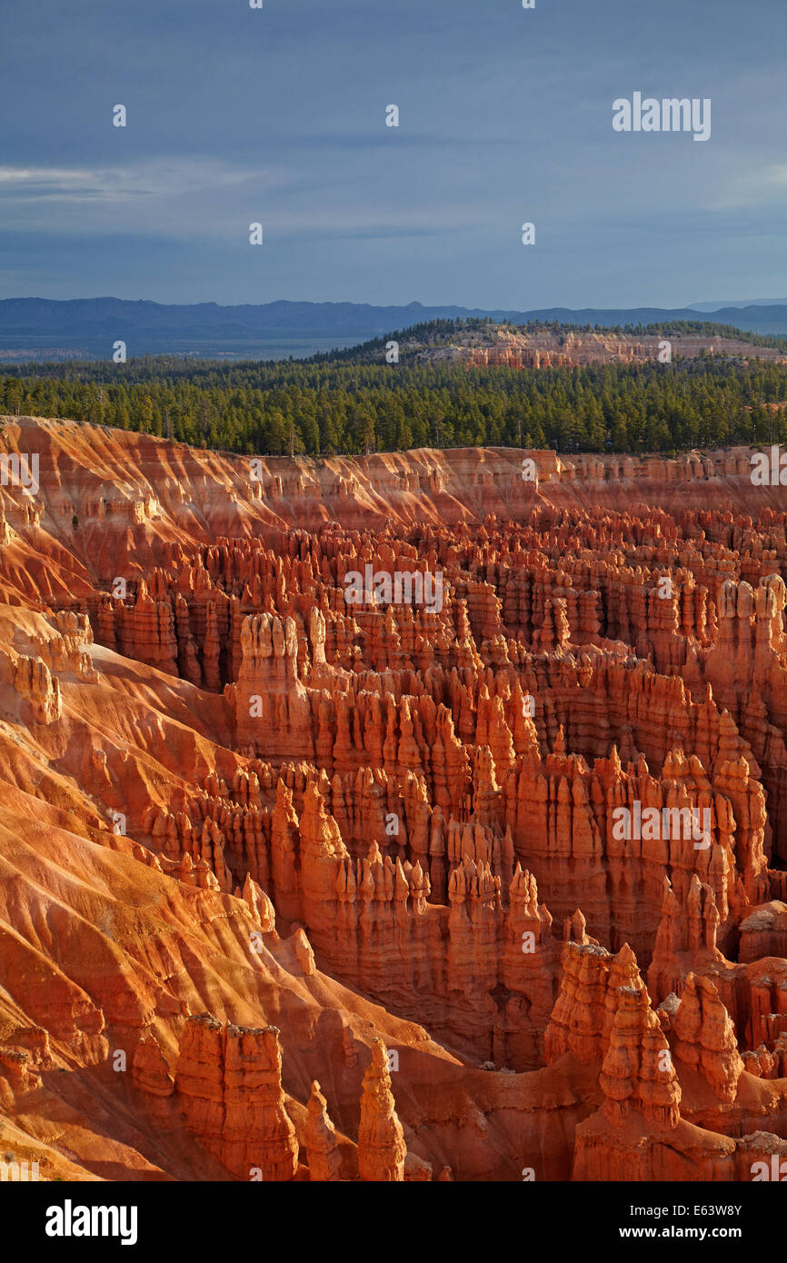 Hoodoos in Bryce Amphitheater, seen from Inspiration Point, Bryce ...