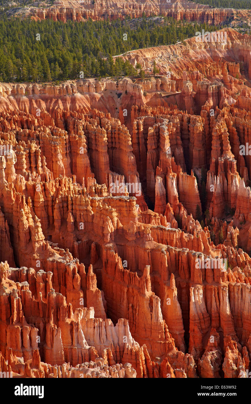 Hoodoos in Bryce Amphitheater, looking across to Sunset Point and ...