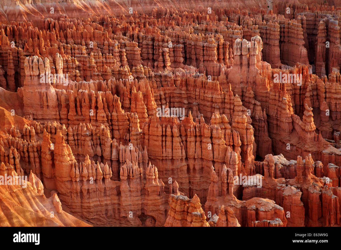 Hoodoos in Bryce Amphitheater, seen from Inspiration Point, Bryce ...