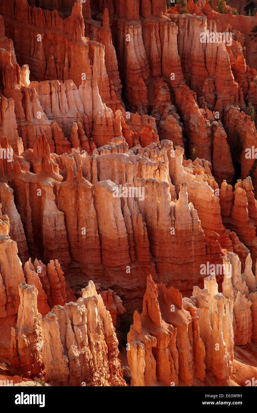 Hoodoos in Bryce Amphitheater, seen from Inspiration Point, Bryce ...