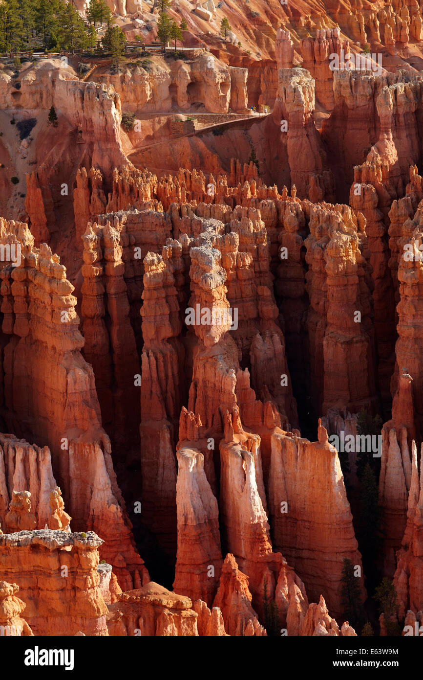 Hoodoos in Bryce Amphitheater, looking across to Sunset Point and ...