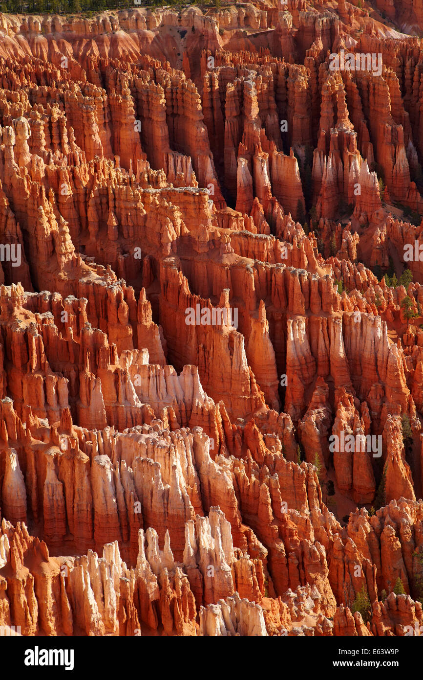 Hoodoos in Bryce Amphitheater, seen from Inspiration Point, Bryce ...