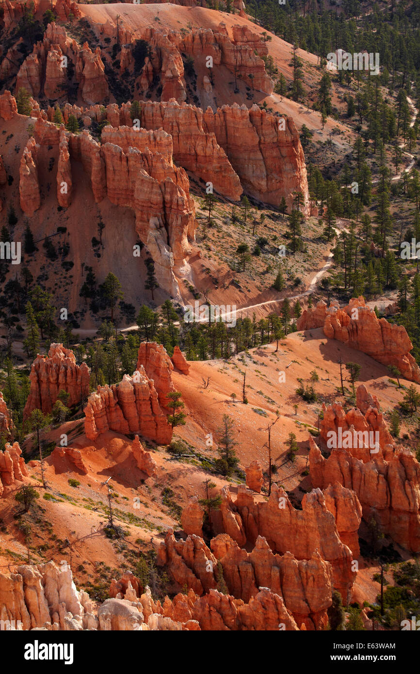 Hoodoos in Bryce Amphitheater, looking across to Sunset Point and ...