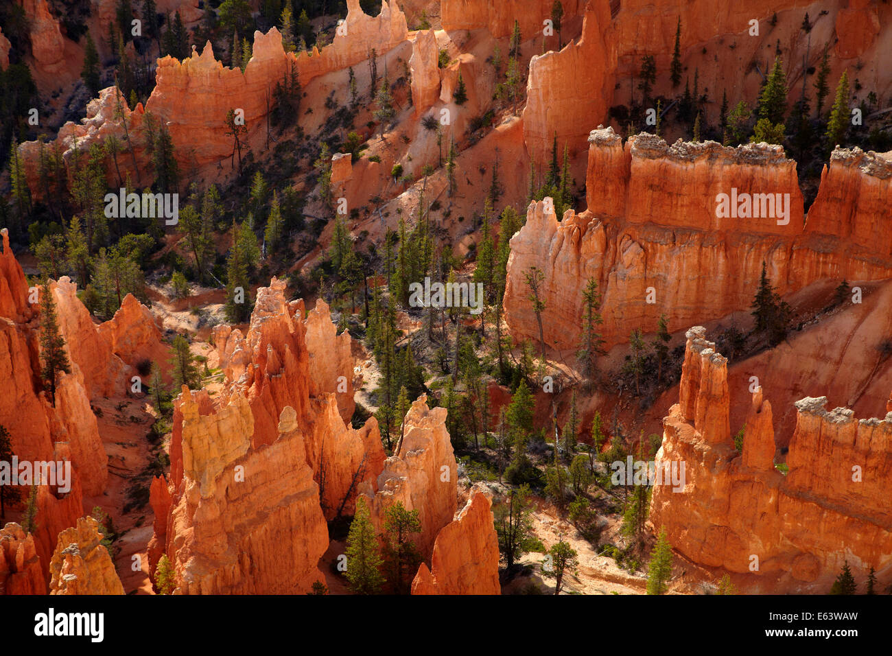 Hoodoos in Bryce Amphitheater, seen from Inspiration Point, Bryce ...